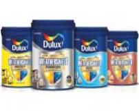 Create your perfect colour scheme | Dulux India